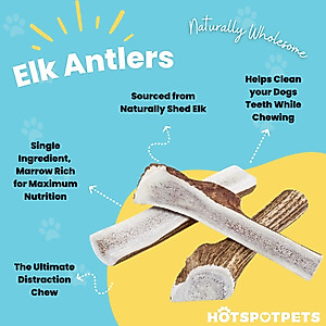 hotspot pets Premium Split Elk Antlers for Dogs - 7+ Inch Large Dog Antler Chews (4 Pack) Naturally Shed Antler Bone for Large Breed Aggressive Chewers - Made in USA - Promotes Dental Hygiene