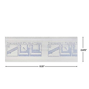 Catchmaster Fly Trap Bundle, Window Fly Traps 12-Pack & Fly Bag 4-Pack, Fruit Fly Traps for Indoors & Outdoors, for Garage, Backyard, Pool, Patio & Camping