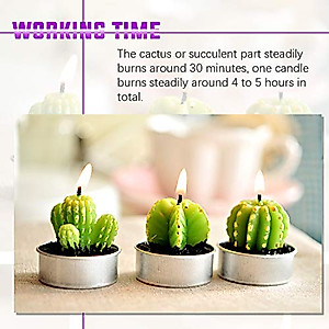 Swpeet 12Pcs Decorative Succulent Cactus Tealight Candles Kit, Cute Smokeless Succulent Plants Perfect for Candles Festival Wedding Props and House-Warming Party