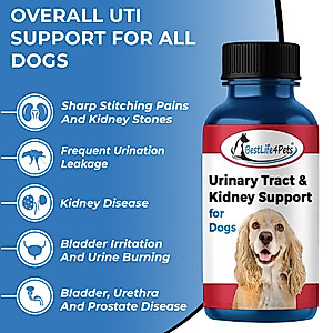 BestLife4Pets Dog UTI Kidney Support - Natural Urinary Tract Infection Treatment – Renal and Bladder Control Supplement – Easy to Use Pills (2 Pack)