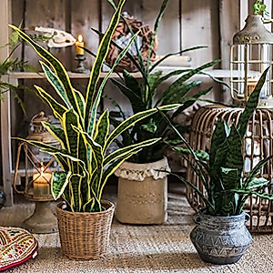 Beebel Artificial Snake Plant 22 Inch Fake Sansevieria Fake Agave Potted Plants Plastic Greenery for Home Garden Office Store Decoration 12 Leaves (Green)