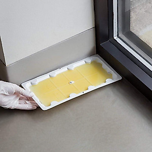 JT Eaton 111-24 Stick-Em Rat and Mouse Glue Trap Tray, 10" x 5", Non-Toxic, White, Case of 24