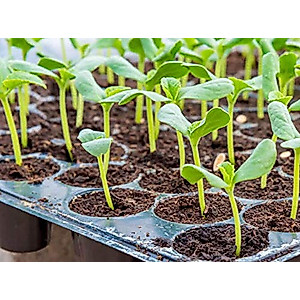 Hydrofarm Jump Start MT10006, 17 Watt UL Certified Seedling Heat Mat, 8.875"x19.5", Black