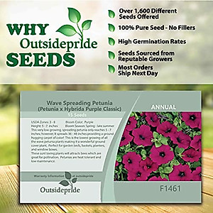 Outsidepride Spreading Purple Classic Wave Petunia Garden Flowers for Hanging Baskets, Pots, Containers, Beds - 30 Seeds