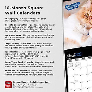 Cat Selfies | 2023 12 x 24 Inch Monthly Square Wall Calendar | BrownTrout | Pet Humor Kitten Feline
