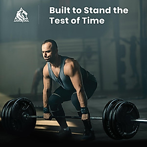 LIONSCOOL 2-Inch Rubber Coated Olympic Grip Plate in Pairs or Single for Strength Training, Weightlifting and Bodybuilding, 2.5-45LBS, One Year Warranty (5LB PAIR)