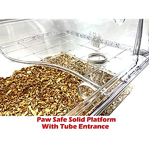 Deluxe 2-Tiers Acrylic Dwarf Hamster Home Mouse Gerbil Palace Rat Habitat Cage Running Wheel Water Bottle Food Bowl (19" x 12" x 11"H, Acrylic Clear)