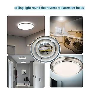 Circular Light Bulbs Set FC12T9-DL and FC8T9-DL Daylight Fluorescent Lamp,Circline 6500K 12inch T9 32Watts and 8inch 22Watts Replacement for Ceiling Light,12,000hrs Long Lifespans