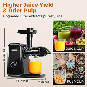 IWODTECH Juicer Machine, Cold Press Juicer with 2 Speed Modes, Slow Masticating Juicer Vegetable and Fruit, Celery Juicer, BPA-Free, Easy to Clean, Black