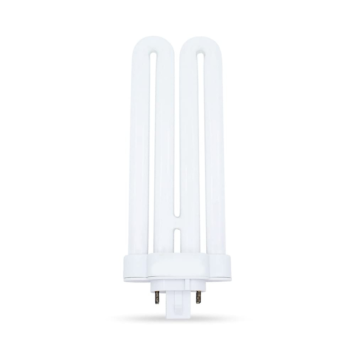 Regent Compact Fluorescent Bulb (FML26)