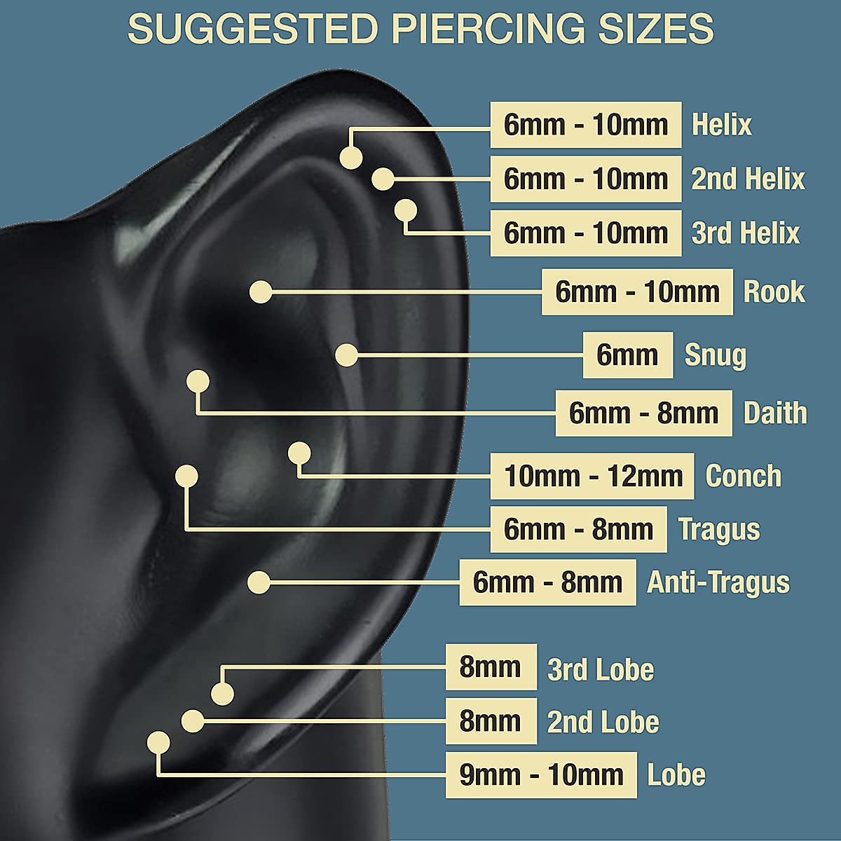 2pc 16g Hinged Clicker Captive Bead Ring Rose Gold 10mm Helix Earring Nose Hoop Rook Cartilage Tragus Lip Septum Forward Eyebrow Ear Lobe Nostril Rings Seamless Surgical Steel