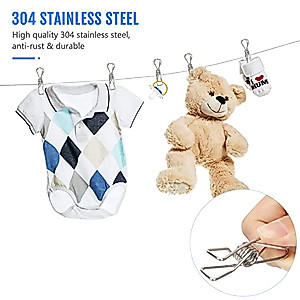 FYY Clothes Pins Chip Clips Wire Clothespins (30 Pack) Bulk Heavy Duty Stainless Steel Clothespins, Durable Multipurpose Metal Chip Clips for Outdoor Clothesline Laundry Home Kitchen Travel Office