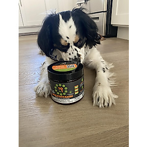 Googipet Premium 10 in 1 Dog Vitamins Multivitamin Chewable w/Dog Probiotics for Gut Health, Dog Vitamins and Supplements w/Vitamin C & Glucosamine for Joint Support (Peanut Butter & Pumpkin Flavor)