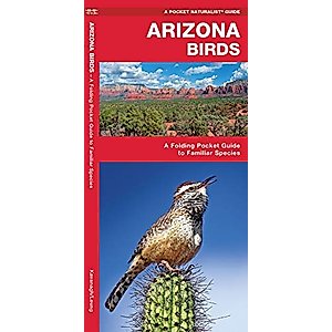 Arizona Birds (Nature Observation North America)