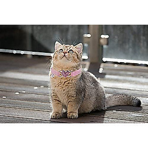 WDPAWS Heart Bling Cat Collar with Safety Belt and Bell Adjustable 8-10 inches for Kitten Cats (Pink)