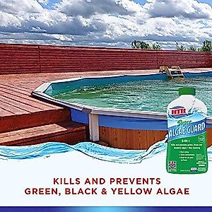 HTH 67032 Super Algae Guard Swimming Pool Algaecide Cleanser, 1 qt