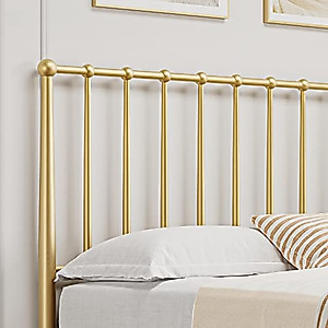 Amyove Queen Bed Frame Metal Platform Bed with Headboard, 14 Inches Metal Mattress Foundation for Storage, No Box Spring Needed, Easy Assembly, Modern, Gold