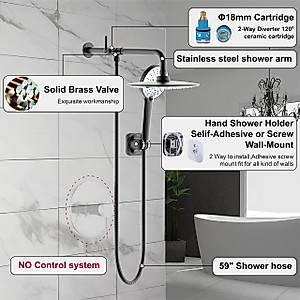 Derengge Shower combo,9 Inch Shower Head and Handheld Shower with Diverter Shower Arm,Matte Black Finished,SCA-0288-MT