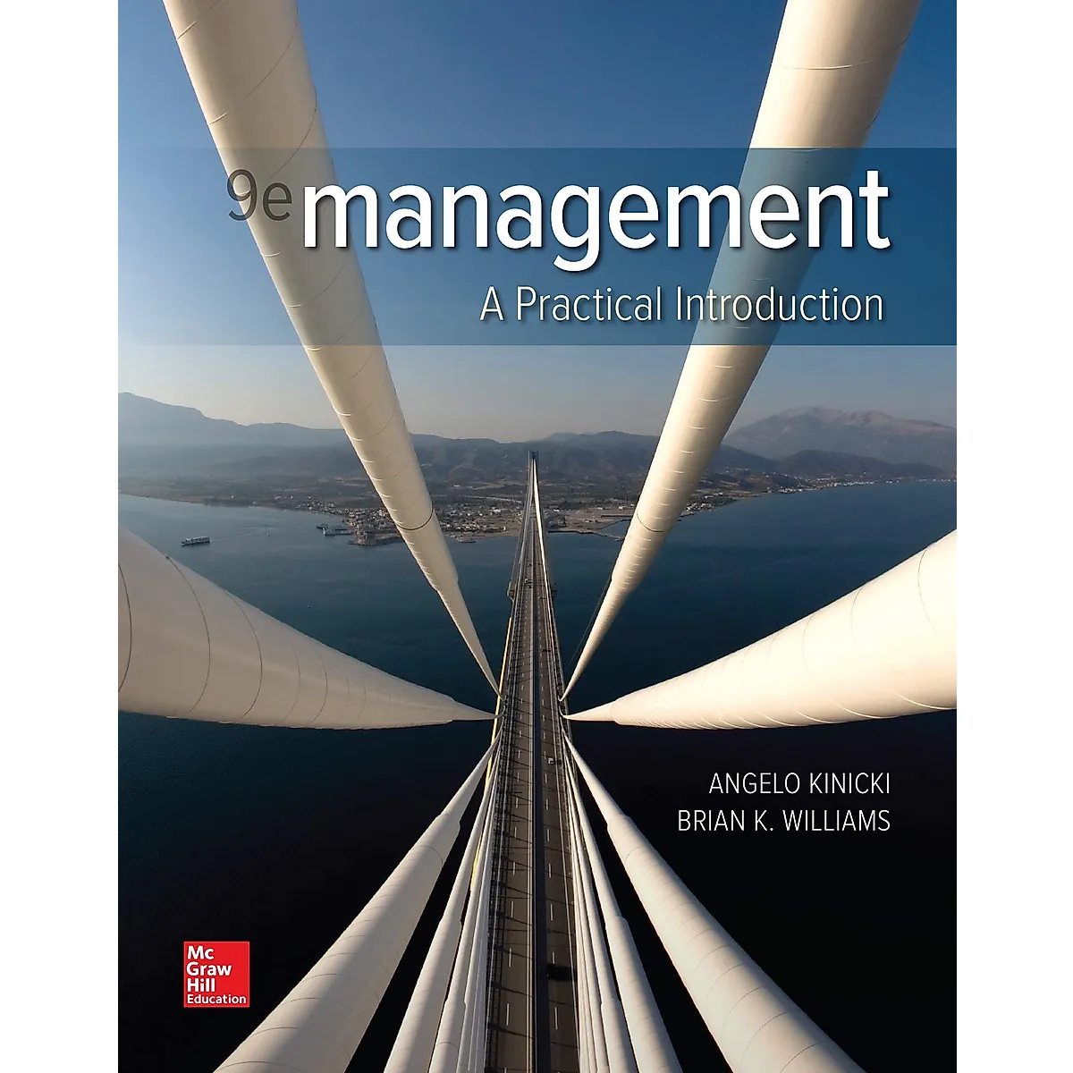 Loose Leaf for Management: A Practical Introduction 9e