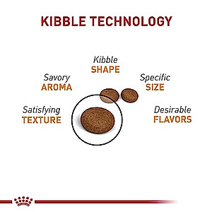 Royal Canin Hair & Skin Care Dry Cat Food, 6 lb bag