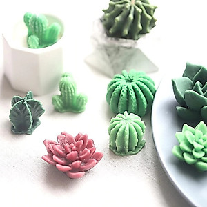 Succulent Silicone Mold, 9 Pack Flower Resin Mold, 3D Cacti Candle Mold for Scented Candles Soaps Making, Wax Resin Casting, Soap Cake Dessert Mousse Mold DIY Mould