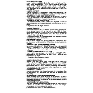 Royal Canin Jack Russell Terrier Adult Dry Dog Food, 10 lb bag