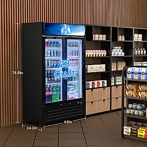 Mojgar 28 Cu Ft Commercial Merchandiser Refrigerator for Beverage,Glass Door Upright Display Fridge with Front LED Light,Large Freestanding Business Cooler for Shop,Restaurant,Apartment,etc