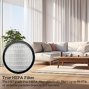 SaferCCTV H13 True HEPA Replacement Filter Compatible with Pure Enrichment PureZone Halo Air Purifier PEAIRDSK, 2-in-1 True HEPA Filters, 2Pack