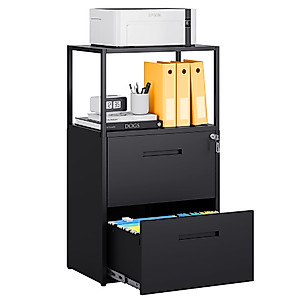 Letaya 2 Drawer Lateral File Cabinets with Lock,Metal Printer Stand Filing Organization Cabinets for Home Office,Hanging Files Letter/Legal/F4/A4 Size (Black)