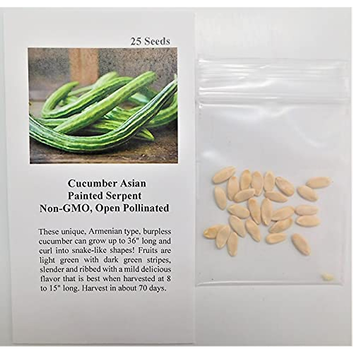 David's Garden Seeds Cucumber Asian Painted Serpent FBA-8422 (Green) 25 Non-GMO, Heirloom Seeds