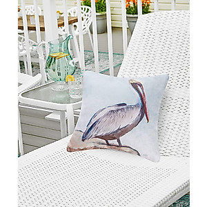 C&F Home Pelican by The Ocean Coastal Premium Indoor/Outdoor Pillow Patio Decor Decoration Accent Throw Pillow 18" x 18" Pelican