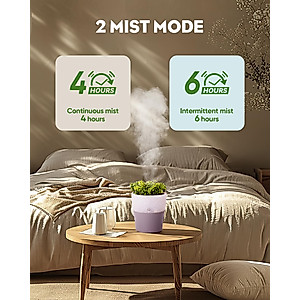DqBaoKuan Small Humidifiers for Bedroom, Mini Fake Plants Portable Cool Mist Humidifier, USB Desk Personal Humidifiers for Baby Room Travel Bedside Office Home, 2 Mist Modes, 150ML