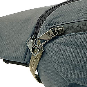 Travelon Anti-Theft Active Waist Pack