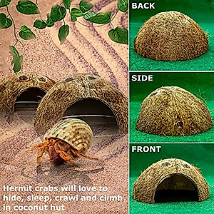 Hamiledyi Reptile Hideouts Natural Coconut Shells Hut Small Animal Hide Cave Hermit Crab Climbing Toys Lizard Habitat Decor Plant Leaves Decoration for Gecko Spider Snake Chameleon (4Pcs)