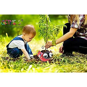 GIFTME 5 Succulent Planter,Metal Pot for Plants,Indoor or Outdoor Decorations Planter with Drainage(7.5Inch,1piece Ladybug Planter)