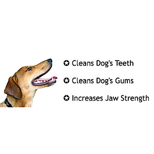 The Dogs Company Rubber Dental Puppy Teething Spike Ring Chew Toy, 6 inches, Colour May Vary