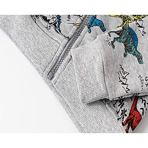 LeeXiang Toddler Boys Full Zip Dinosaur Hoodies Comfortable Sweatshirt (Dinosaur, 4-5T)