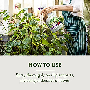 Garden Safe Multipurpose Garden Insect Killer 32-oz Garden Insect Killer Trigger Spray