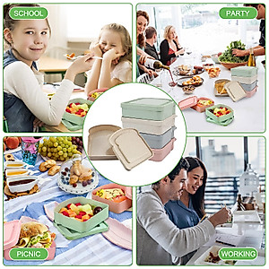 Voittozege 8 Pc Sandwich Containers for Lunch Boxes, 14 oz Plastic Reusable Sandwich Holder with Lid, Microwave & Dishwasher Safe, Family