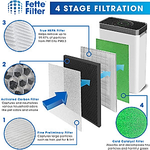 Fette Filter - 4-in-1 High-Efficiency Replacement Filters (pack of 2) Compatible with PURO²XYGEN Air Purifier P500 with True HEPA Filter, Activated Carbon Filter - Pack of 2