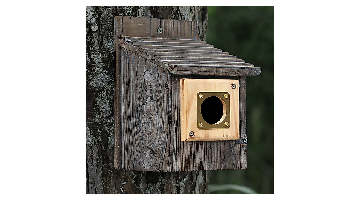 Bluebird House Predator Guard - Protect Birds Easily