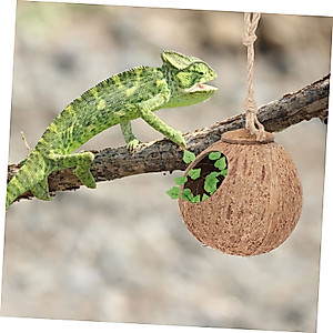 POPETPOP Natural Lizard Nest Kit 2-Piece Pet Villa Nest Vine Cozy Warm Bed for Small Reptiles Semi-Closed for Temperature Retention Pet Enthusiasts