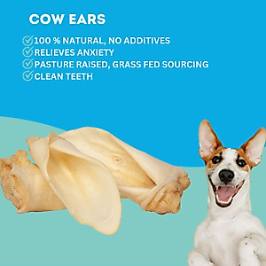 Brazilian Pet 100% Natural - Over 5 inches- Real Cow Ears Prime Dog Chews, Free Range Grass Fed Cattle (100 Count)