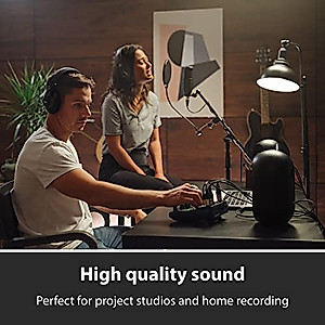 AKG Pro Audio P120 - Affordable 2/3-Inch Diaphragm Condenser Microphone for Clear Vocals & Instruments. Studio Recording or Live. XLR Connector. Black