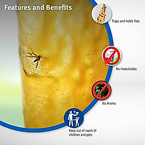 Raid® Fly Ribbon, Fly Traps for Indoors and Outdoors, 4 Pack