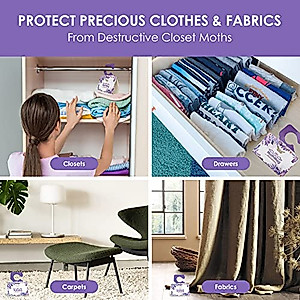 MothMag Moth Traps for Clothes, Closets, Fabrics, and Carpets, Clothes Moth Traps, Closet Moth Traps,Clothing Moth Pheromone Traps, Mothballs Alternative, How to Get Rid of Moths in House