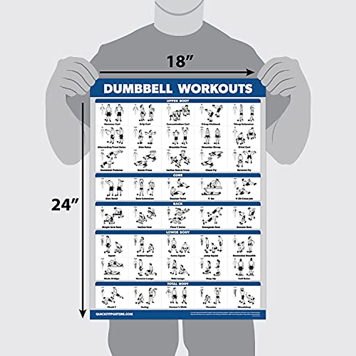 Palace Learning Dumbbell Workout Exercise Poster - Free Weight Body Building Guide | Home Gym Chart - LAMINATED, 18" x 24"