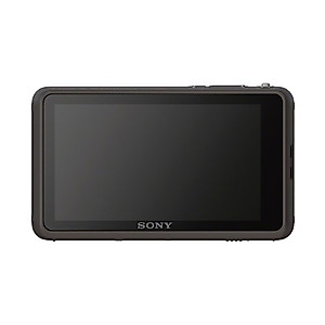 Sony Cyber-shot DSC-TX66 18.2 MP Exmor R CMOS Digital Camera with 5x Optical Zoom and 3.3-inch OLED (Silver) (2012 Model)