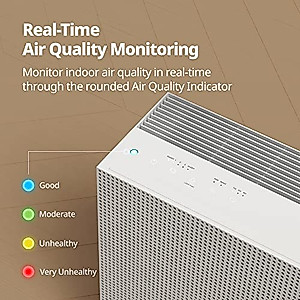 Coway Airmega 230 True HEPA Air Purifier with Air Quality Monitoring, Auto, and Filter Indicator, Dove White