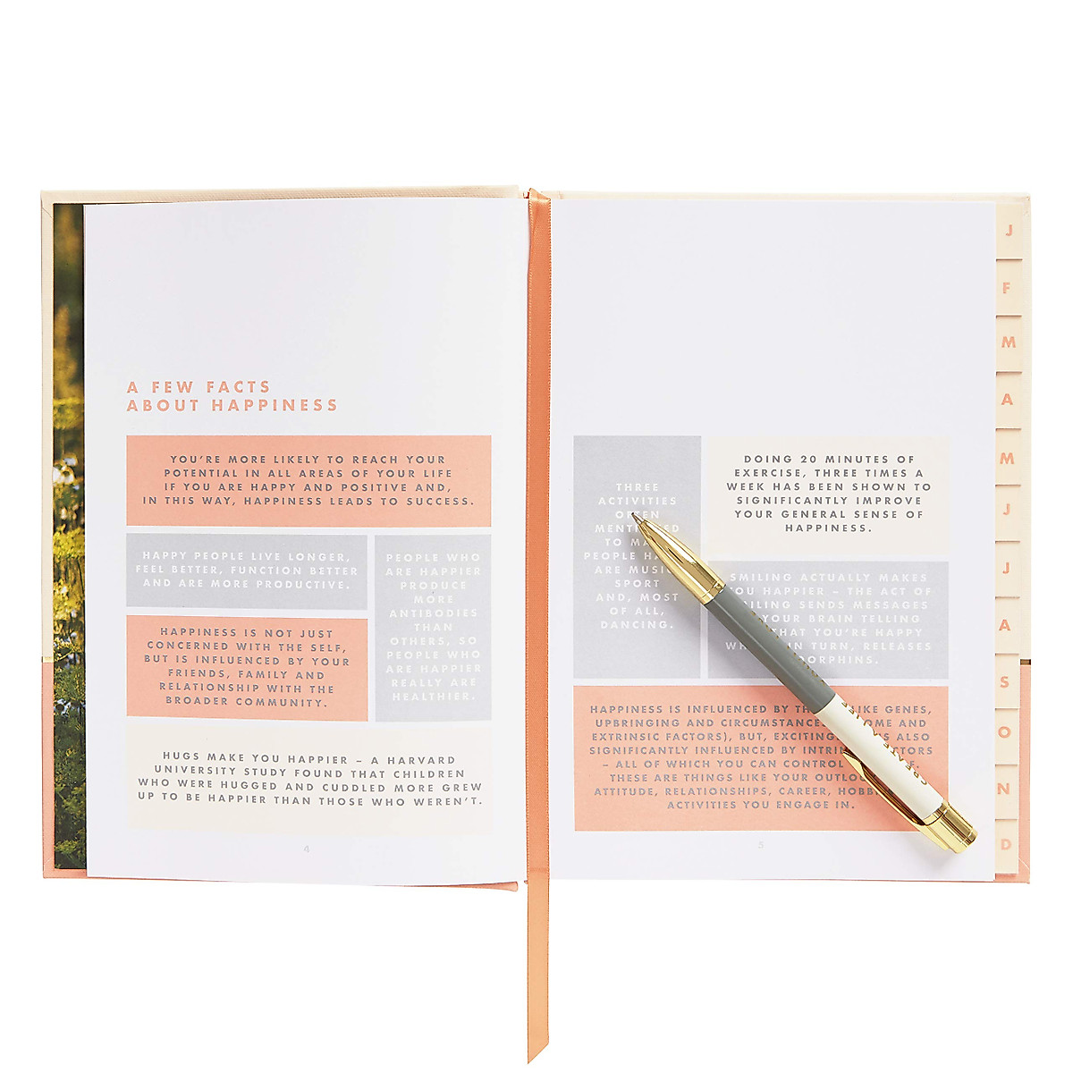 kikki.K HAPPINESS JOURNAL INSPIRATION RANGE BLUSH